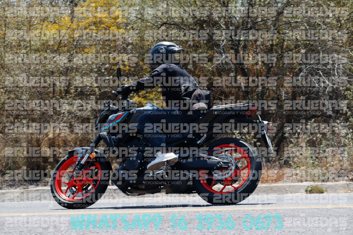 MG 0655 — Postimages