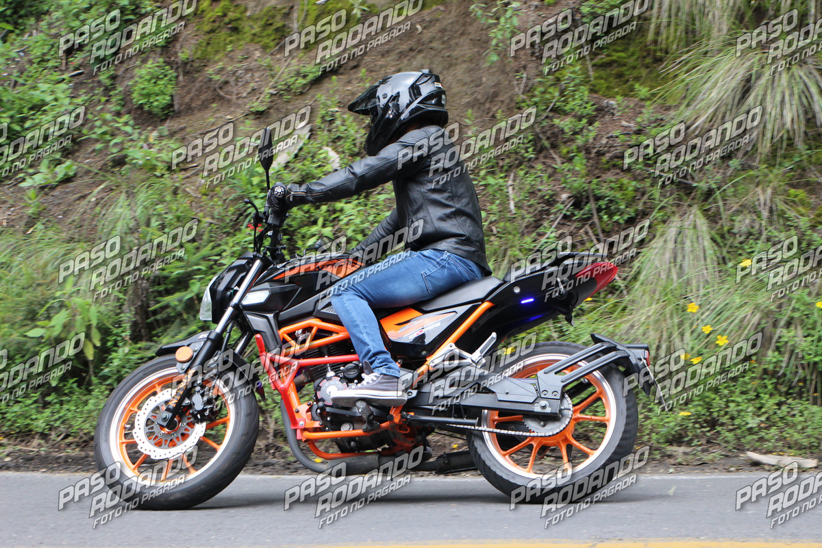 IMG 8278 wm 3328108 2 watermarked — Postimages