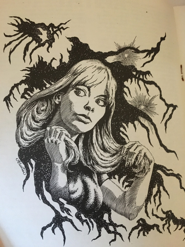 IMG 0575 — Postimages