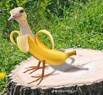 elvin_fernando - user info - CodeAbbey