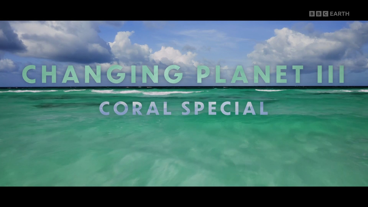 Changing Planet Coral Special 2024 1080i HDTV MP2 H 264 HBO TS snapshot ...