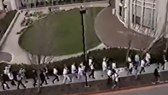 'Windows Refund Day' are available on YouTube. - General News - Nsane ...