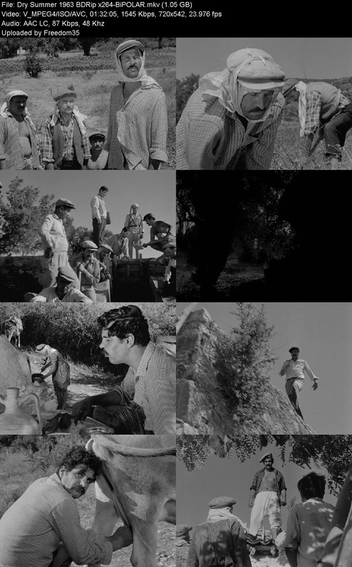 Dry Summer 1963 BDRip x264 Bi POLAR — Postimages