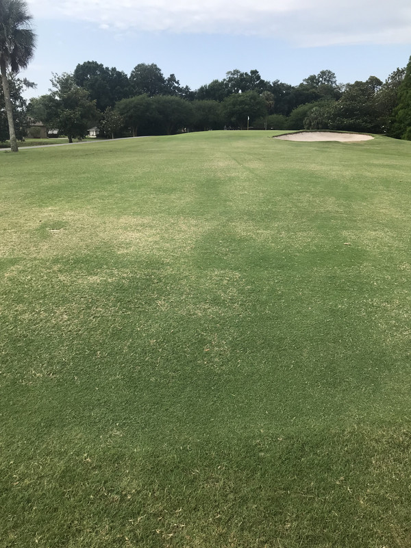 Verticutting fairways today | Lawn Care Forum