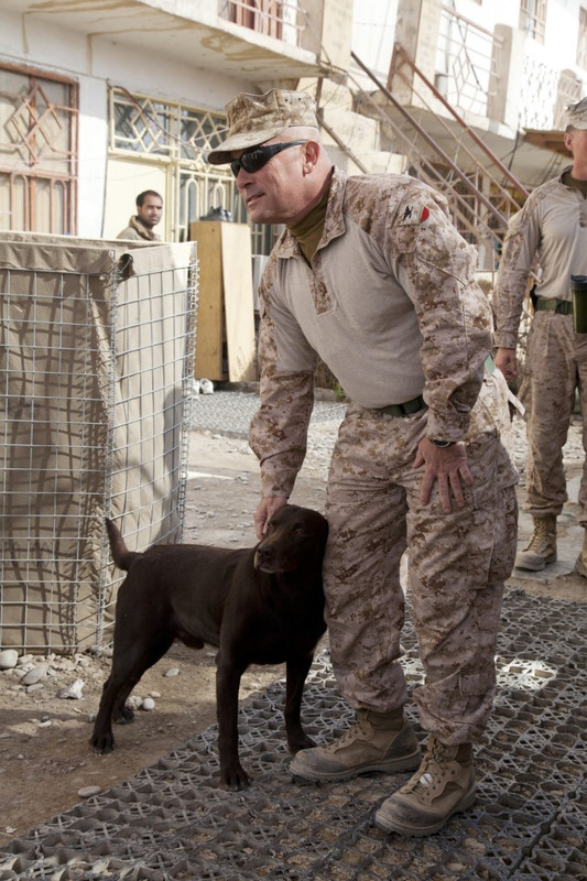 USMC K9 Marine Air Ground Task Force Crisis Response Central Co ...