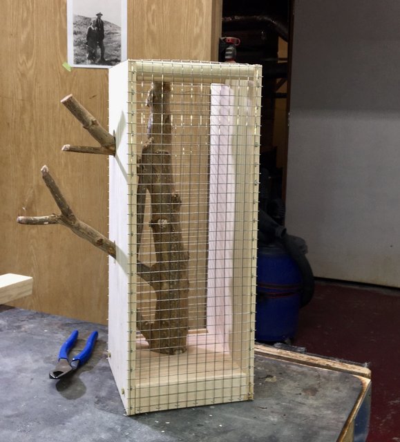 4 D1 BD305 9 EAB 4454 AF15 364 FE5 B7 D7 BE 1 105 c — Postimages