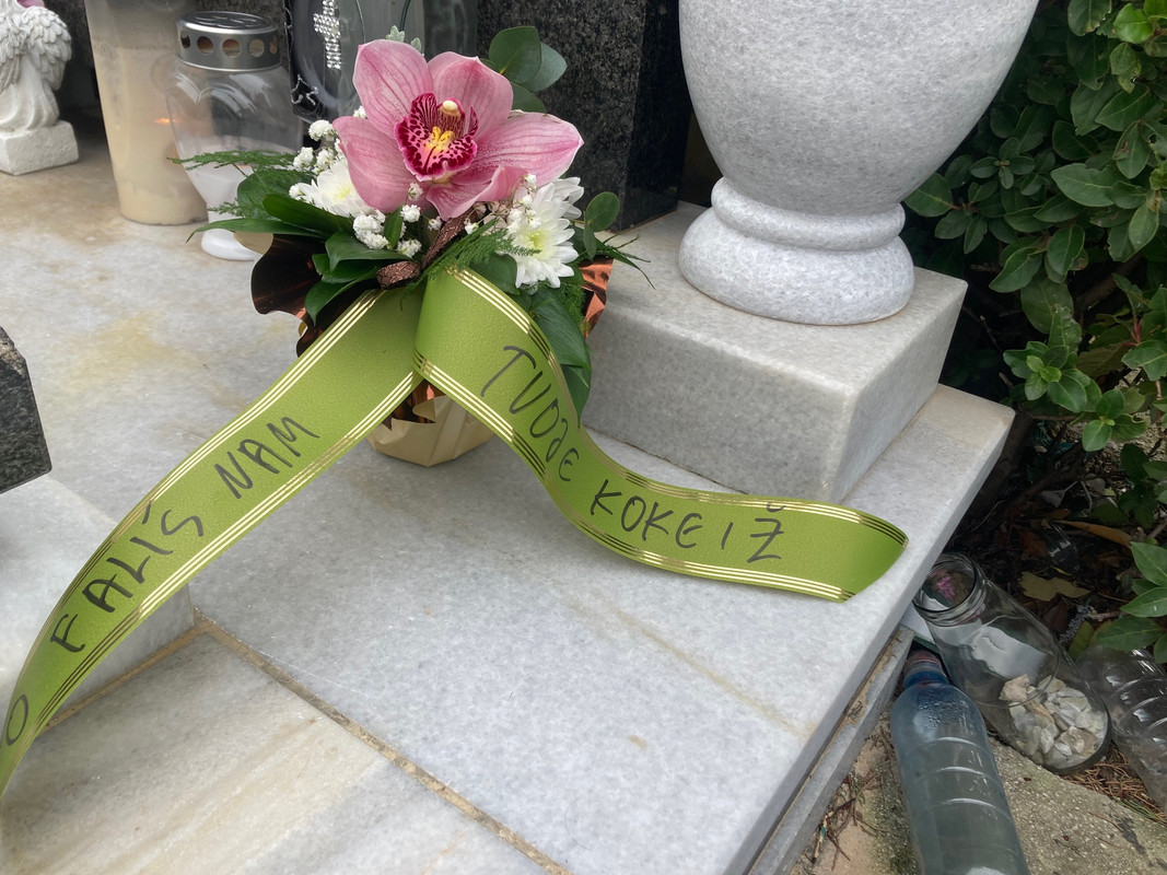 IMG 1449 — Postimages