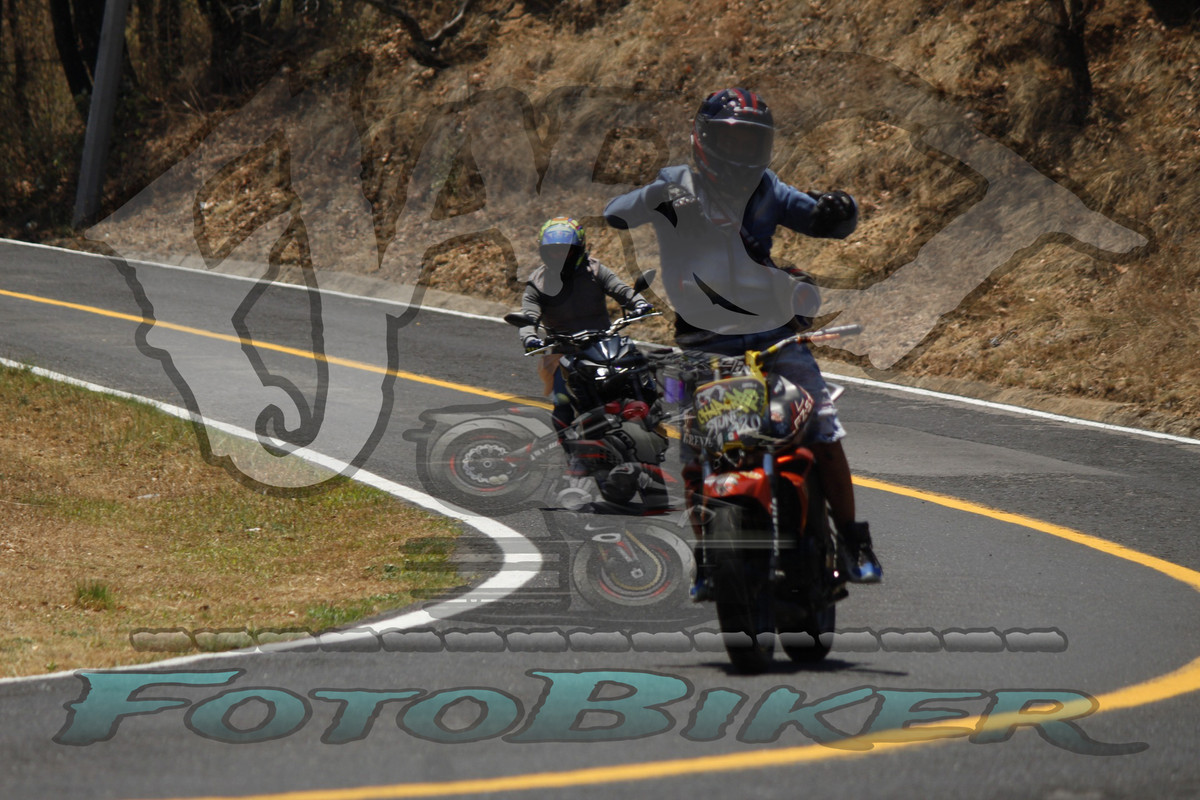 MG 0240 — Postimages