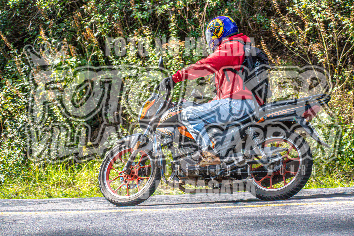 C1P1 118 — Postimages