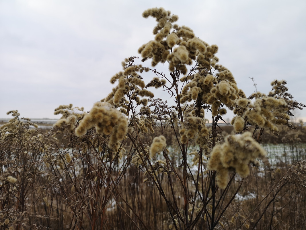 IMG 20210111 100731 — Postimages