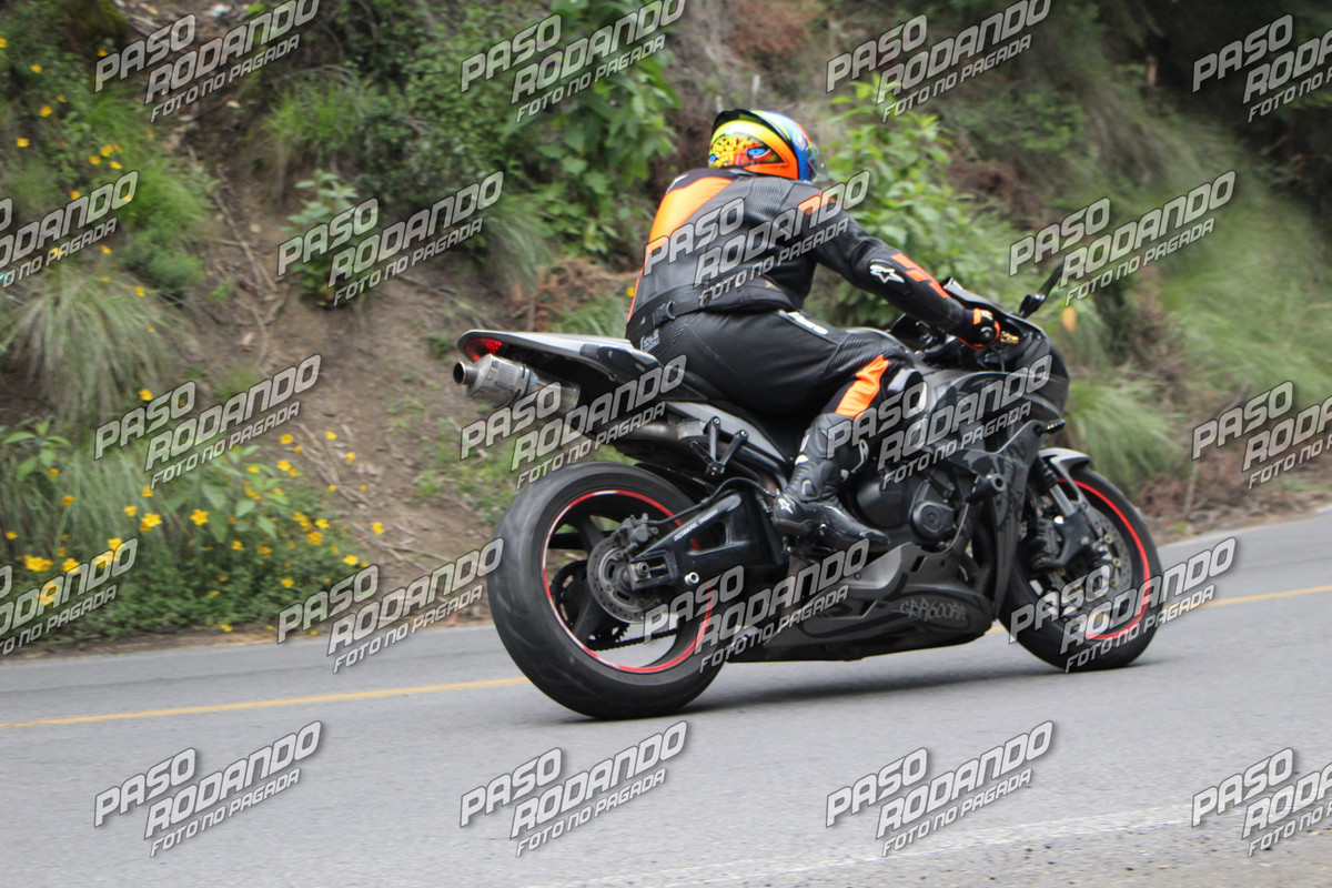 IMG 0037 wm 4322928 watermarked — Postimages