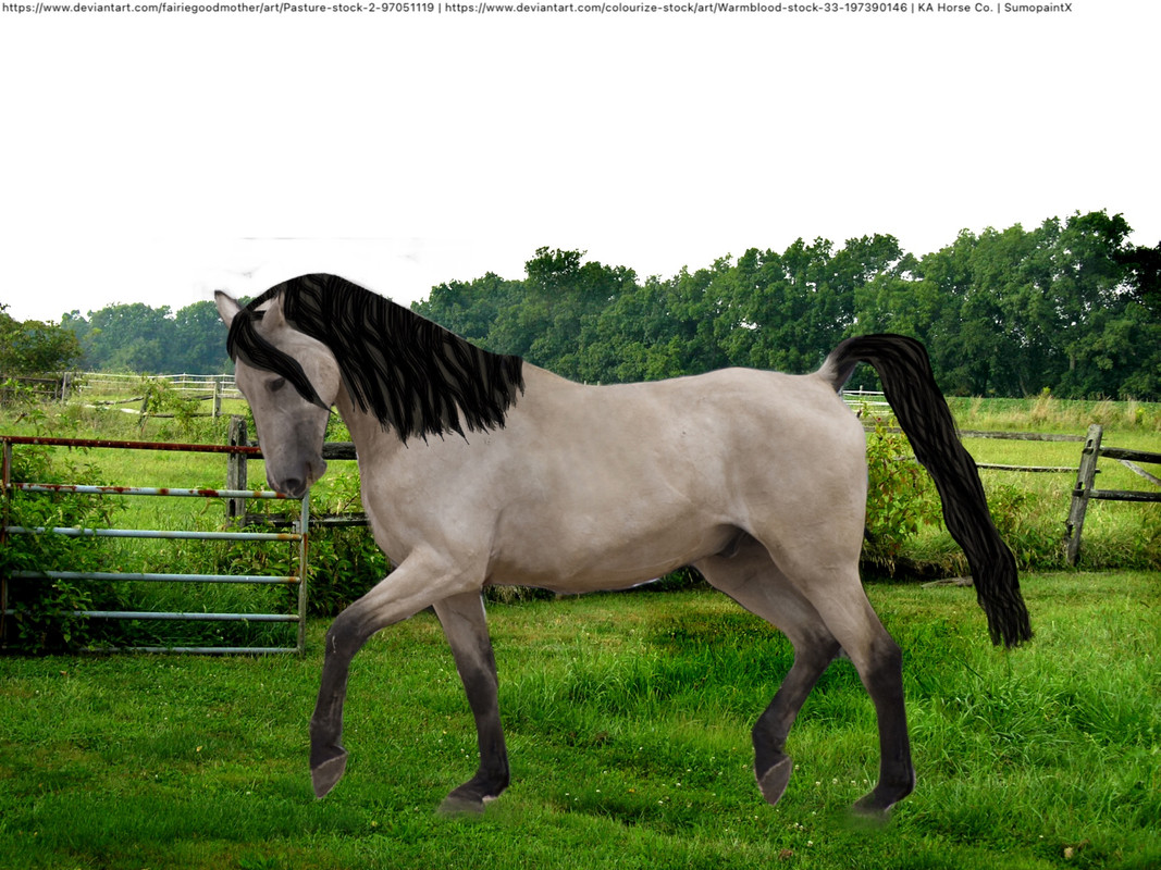 07 B4 E5 F4 F4 E4 4533 88 Ed 65 Bbfe9 F8 A21 — Postimages