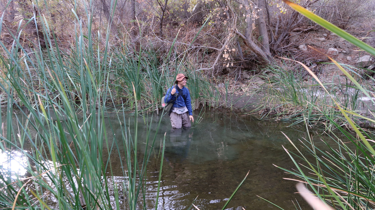 IMG 6597 — Postimages