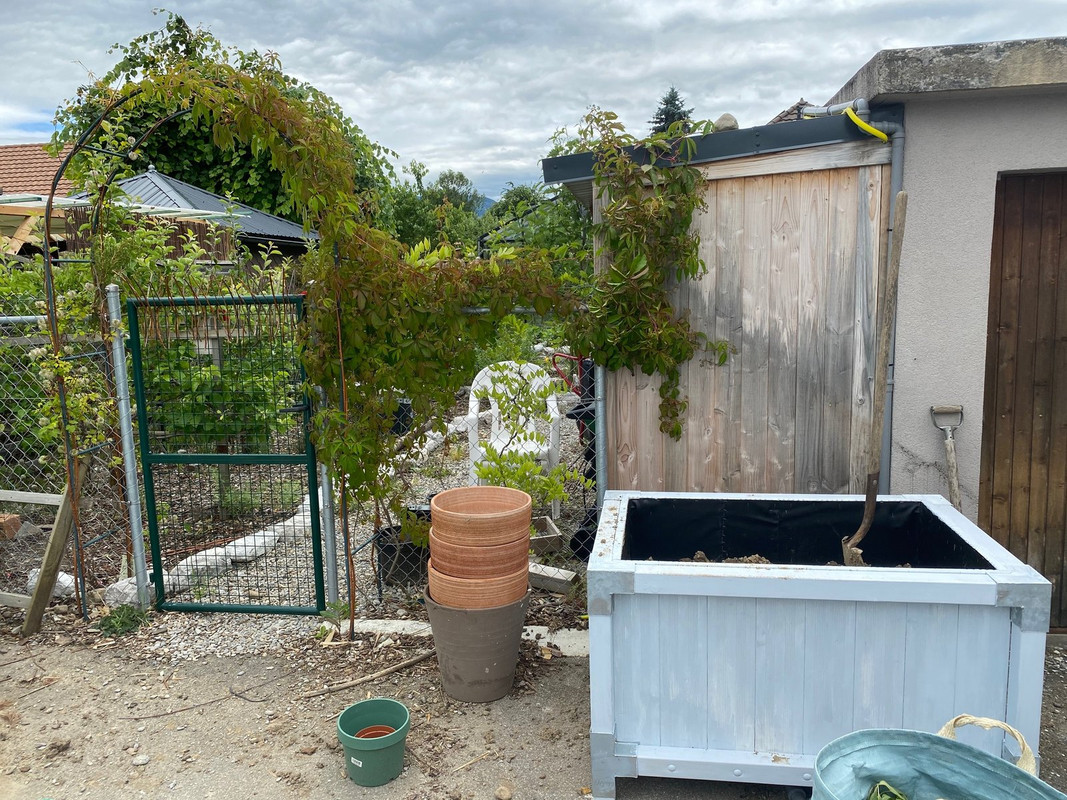 IMG 5354 — Postimages