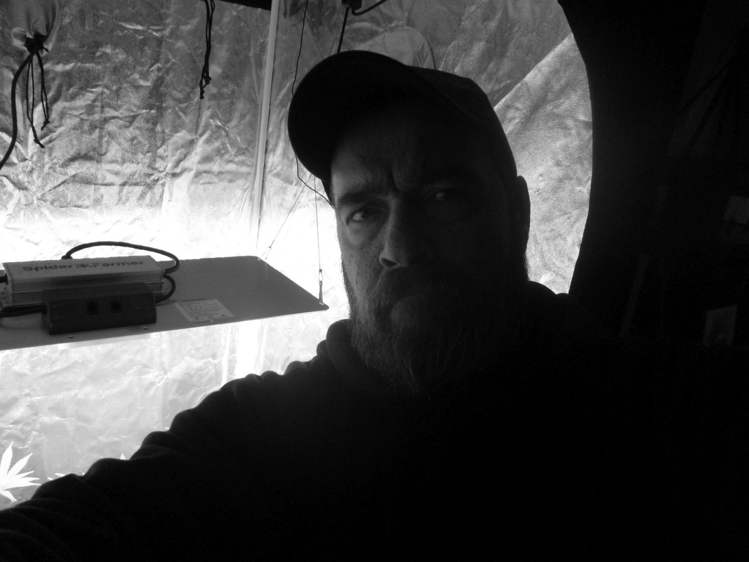 Pi P2012024 — Postimages