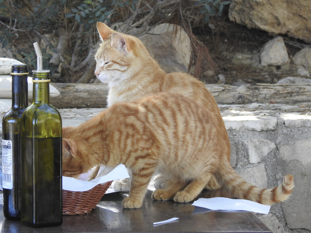 DSCN4502 — Postimages