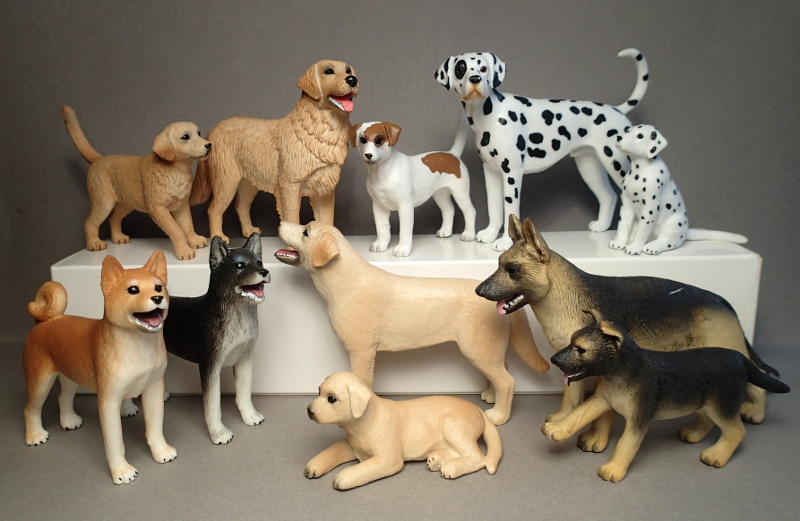 Mojo dogs and cats, update 2020 :-)