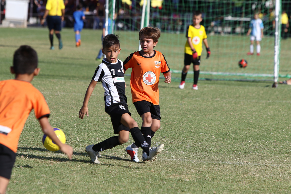 VIK 0909 — Postimages