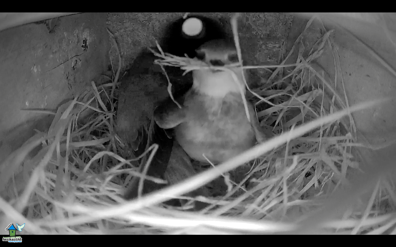 Schermopname (601) — Postimages