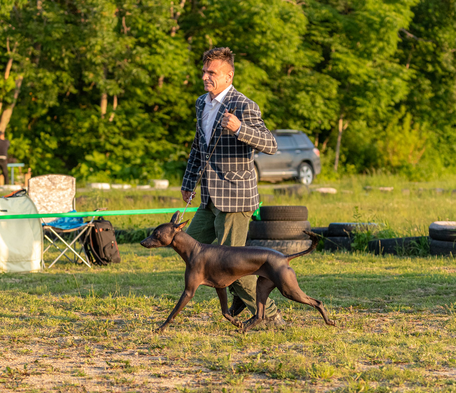 КВ 3879 — Postimages