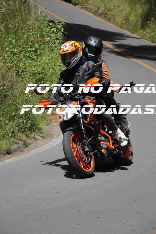 IMG 8150 — Postimages