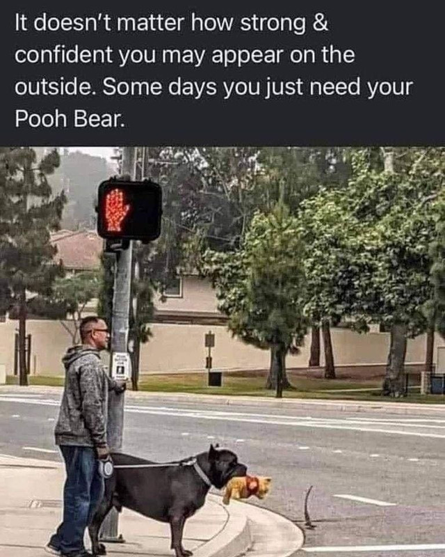 pooh bear — Postimages