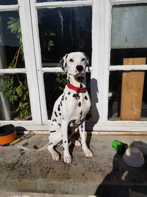 426829742 722998809956493 8587374703456962605 n — Postimages