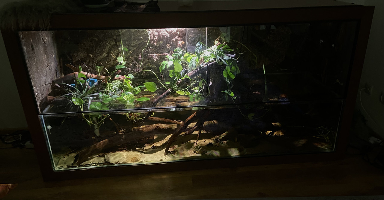 IMG 1798 — Postimages