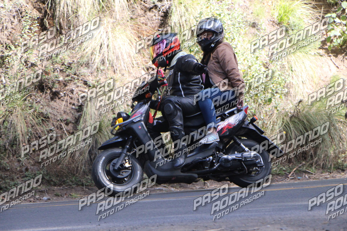 IMG 8295 wm 6652392 9 watermarked — Postimages