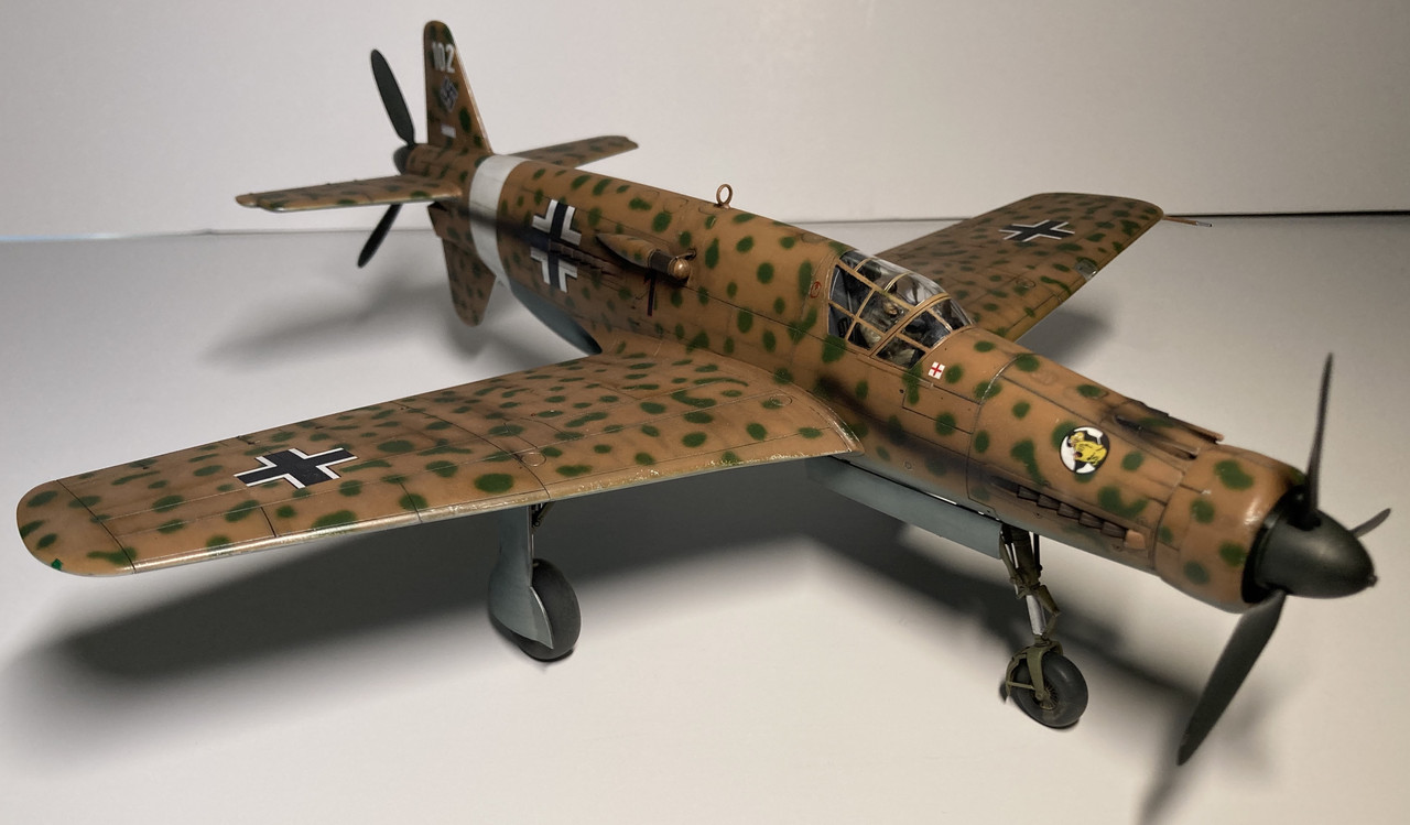 Tamiya's Do-335 in...North Africa? - Ready for Inspection - Aircraft ...