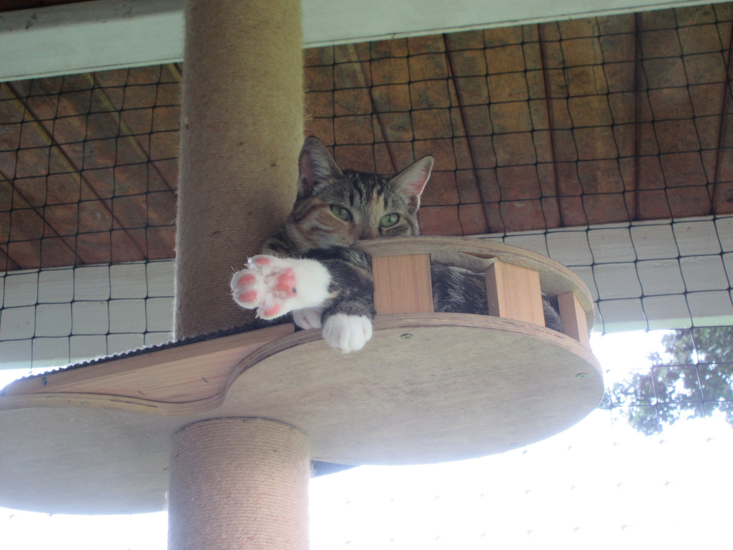 IMG 1525 — Postimages