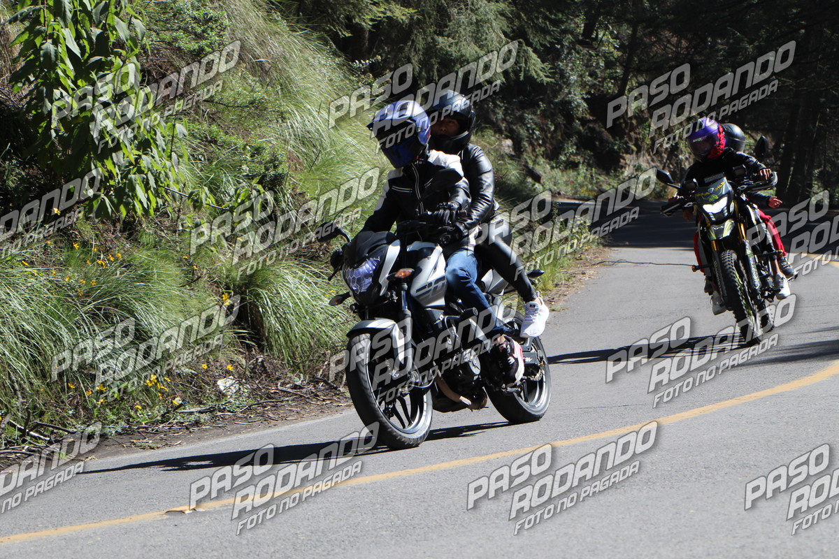 IMG 7675 wm 70917 90000000014 watermarked — Postimages