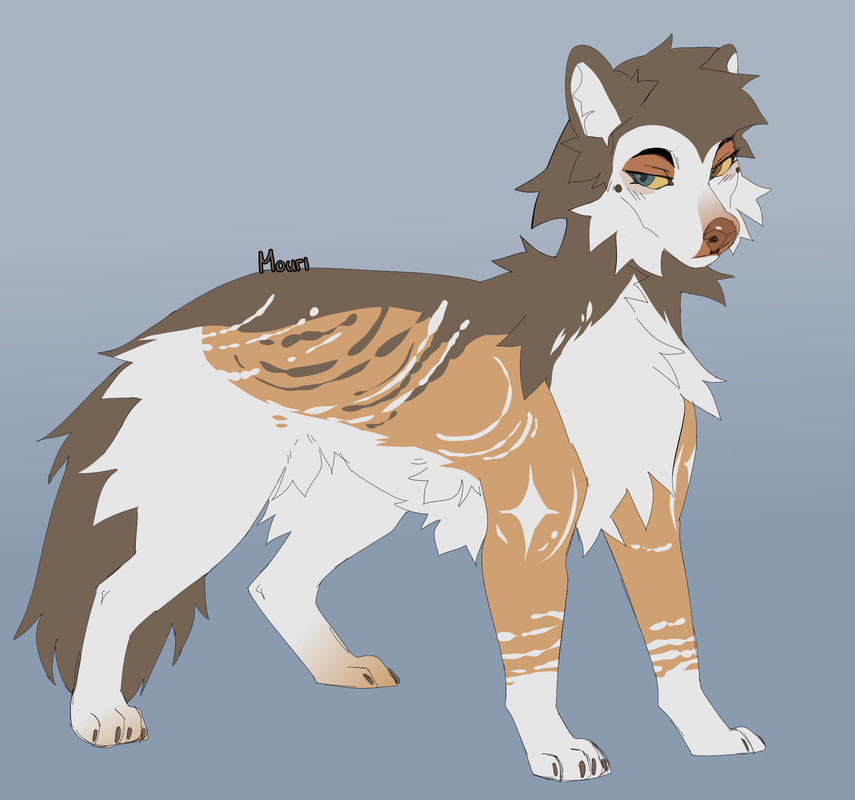 export — Postimages