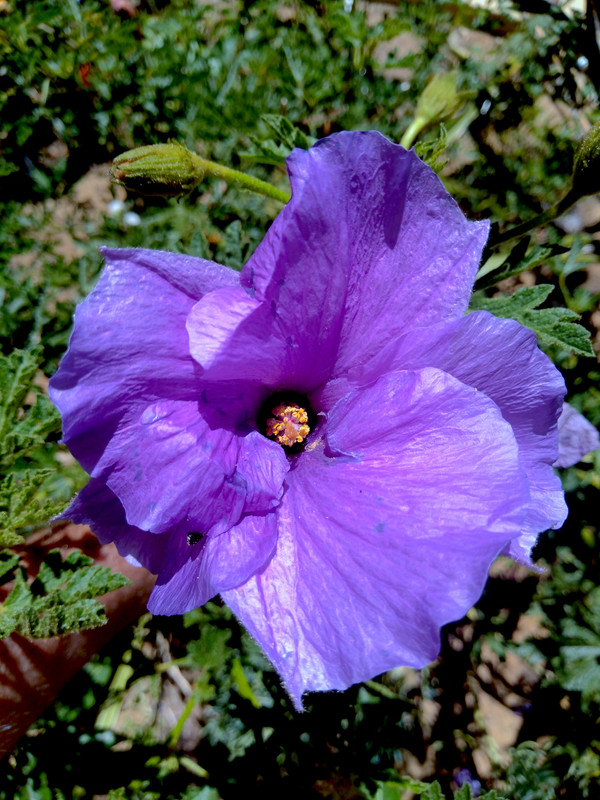 Img20211129130943 — Postimages