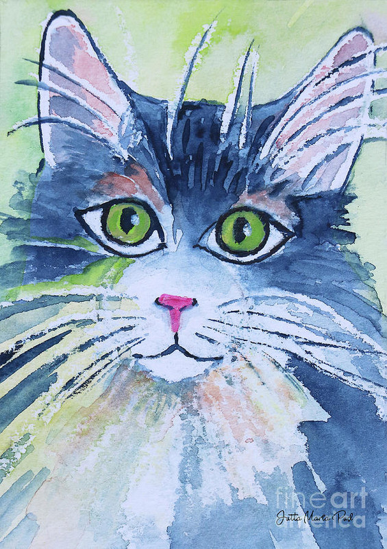 73 another cat jutta maria pusl — Postimages