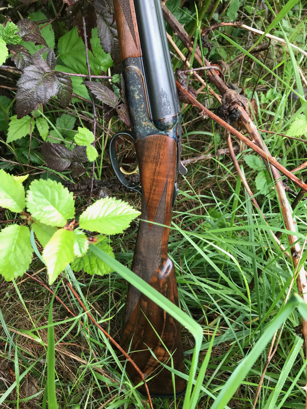 IMG 0737 — Postimages