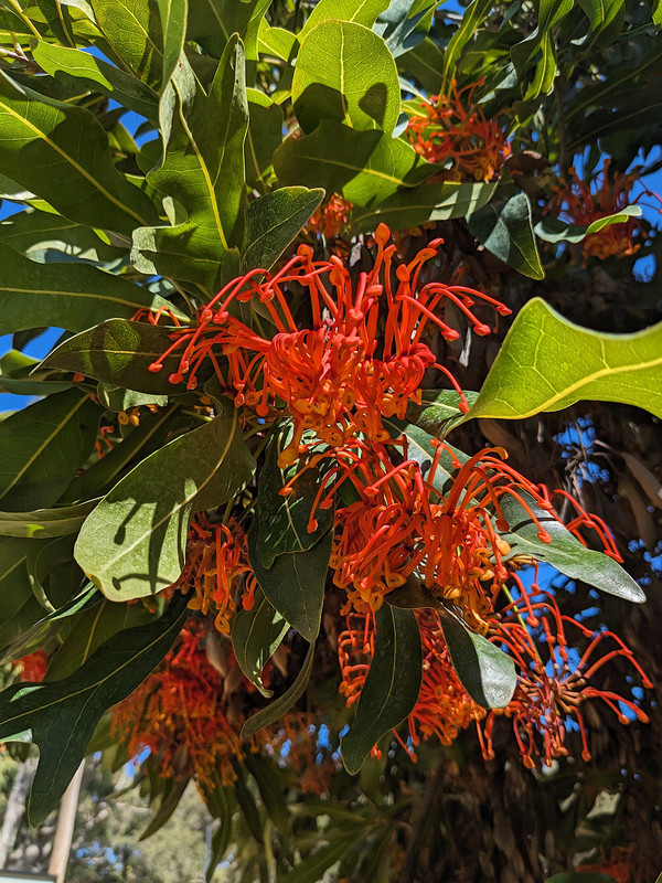 PXL 20240311 022831496 — Postimages