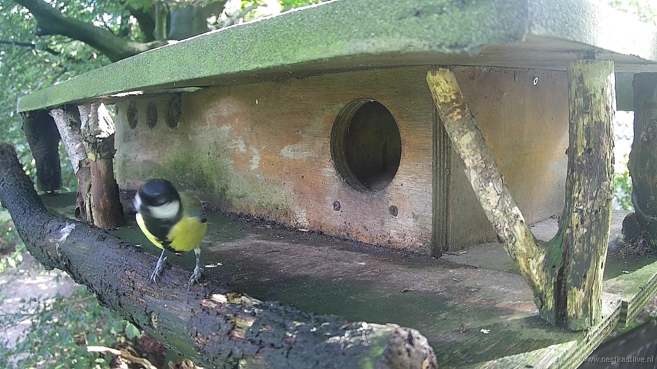 snapshot 1 240 — Postimages