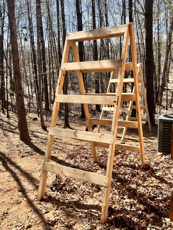 1 AB29647 11 C0 4 C28 81 EA AC641 B44847 D — Postimages