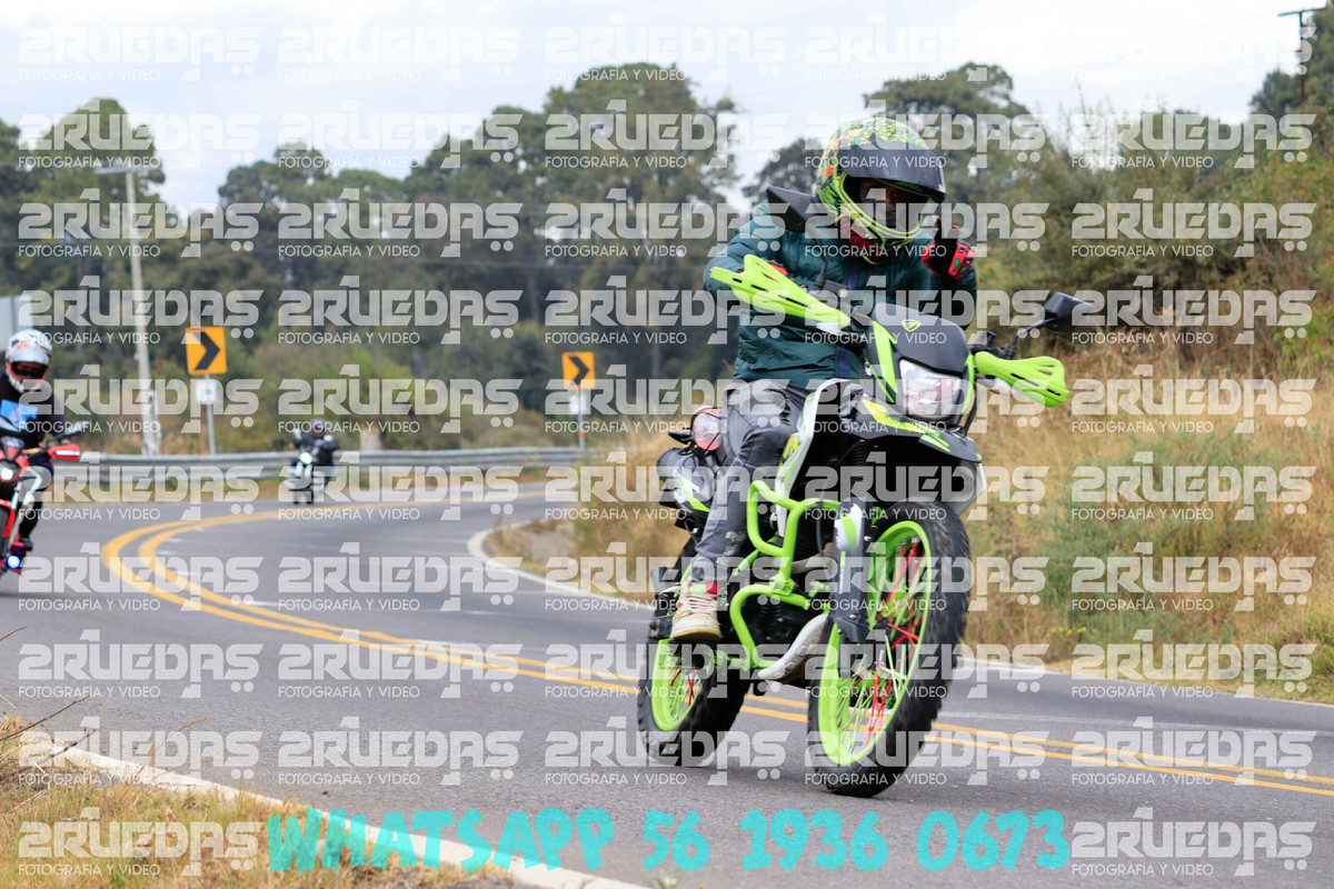 MG 0917 — Postimages