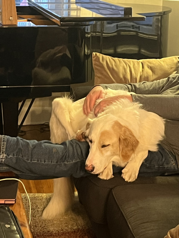 5 C71 FF64 3 D6 C 4900 A296 CD65781 B3199 — Postimages