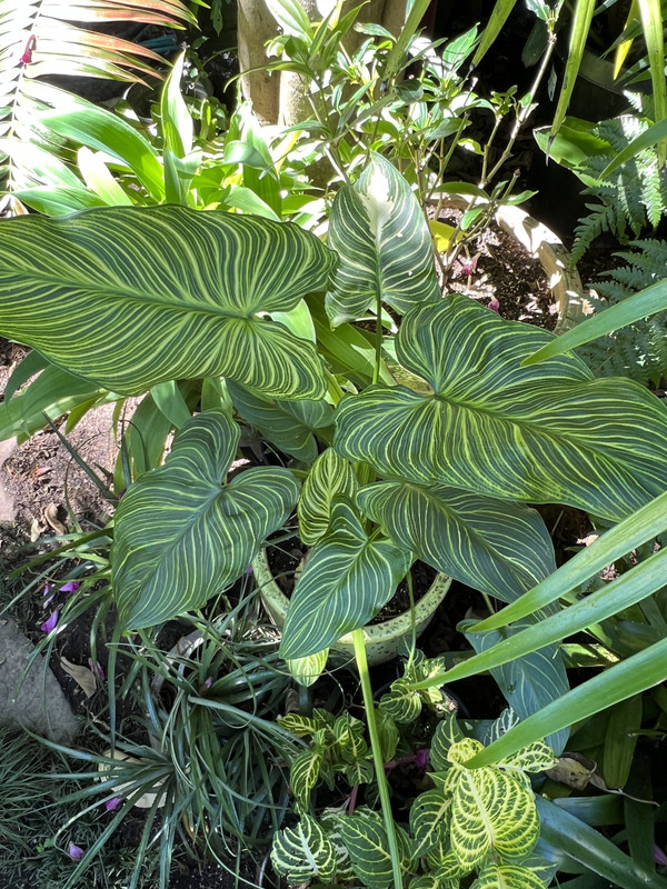 IMG 7302 — Postimages