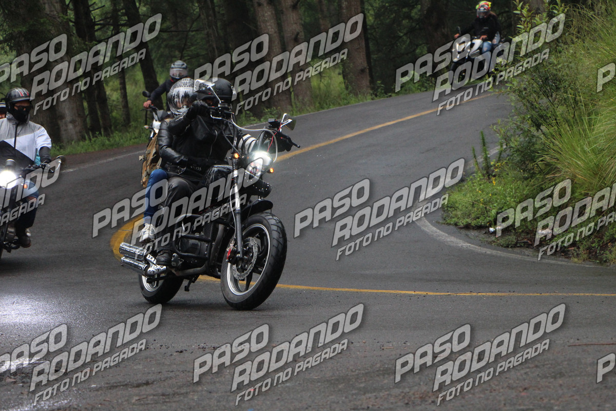 IMG 6328 wm 316489 5999999996 watermarked — Postimages