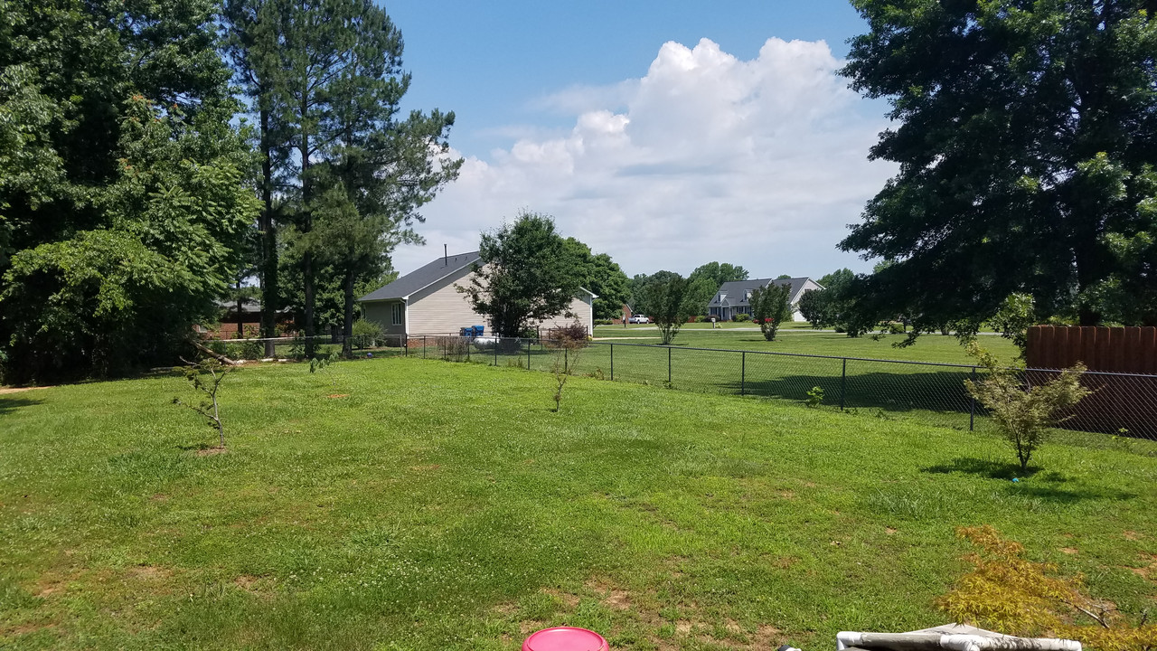 Reclaiming my neglected lawn, best steps this Spring? | Lawn Care Forum