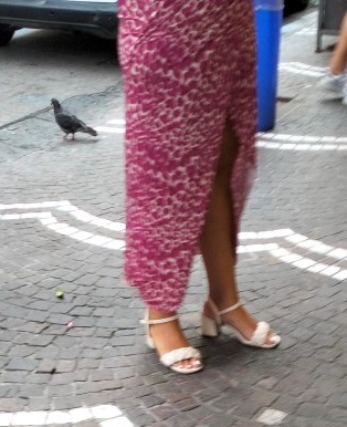 ago26 2022 (52) — Postimages