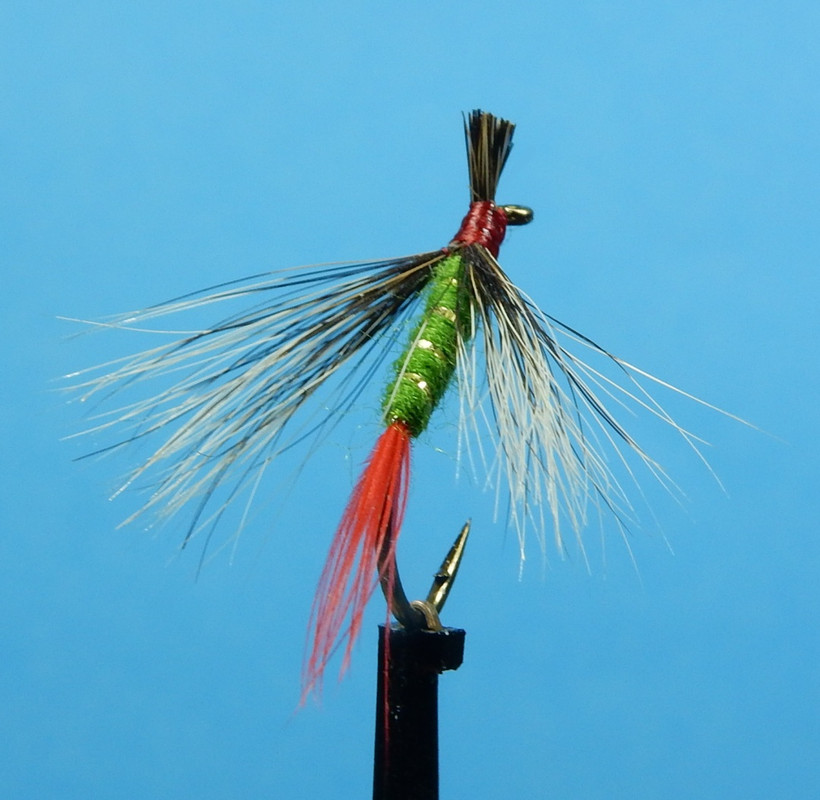 Cooper Bug - Fly Tying - Maine Fly Fish