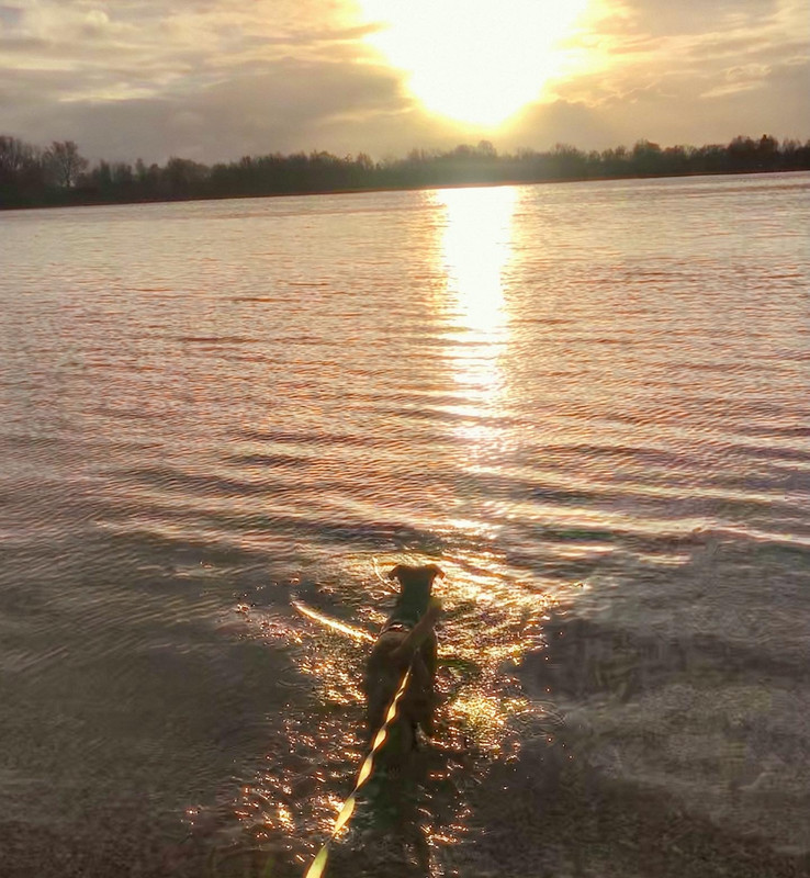 A5 D267 E2 B823 426 D 98 FD 38 BD2 DD41222 — Postimages