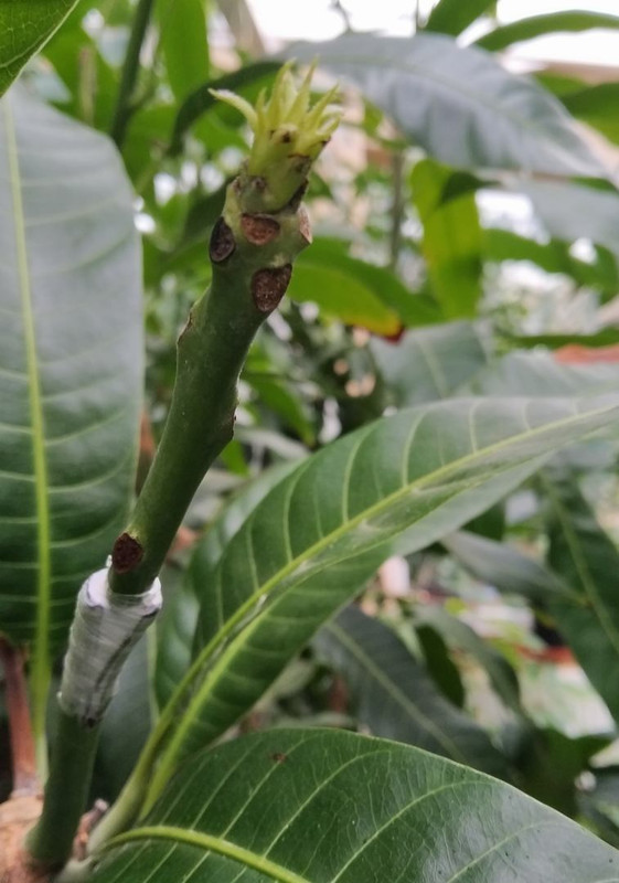 IMG 20220928 140958 — Postimages