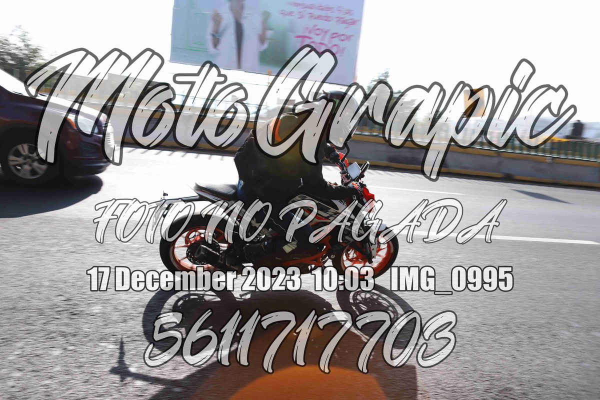 motgr IMG 0995 — Postimages