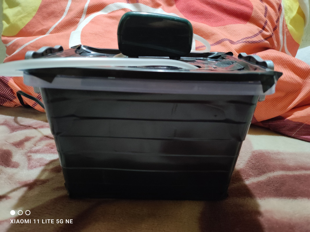 IMG 20230210 202153 — Postimages